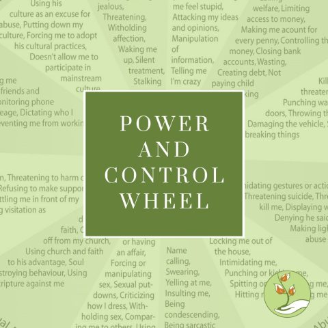 Power And Control Wheel – Hagar's Sisters